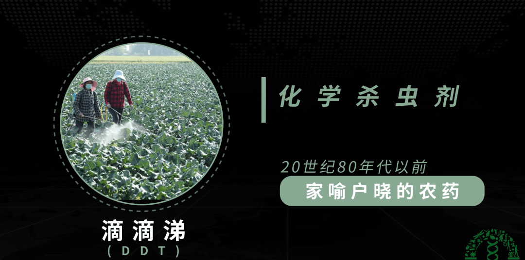 试图消灭疟疾的杀虫剂-滴滴涕_传播_影响_ller