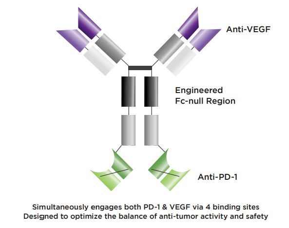 曾 50 亿美元出海：康方生物 AK112 国内报上市_Insight_临床_数据