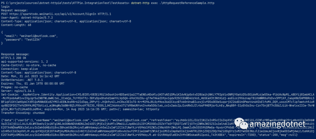 使用 dotnet-httpie 执行 http 文件请求_api_vscode_支持