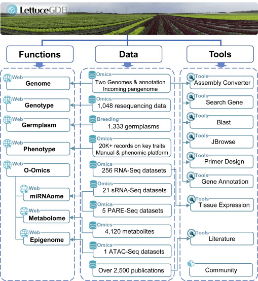 Plant Com | 2021-2023年发表的资源与工具类文章合集_data_植物_omics