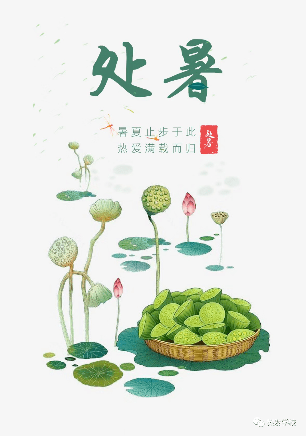 处暑丨万物渐褪夏时,暑气至此止矣!