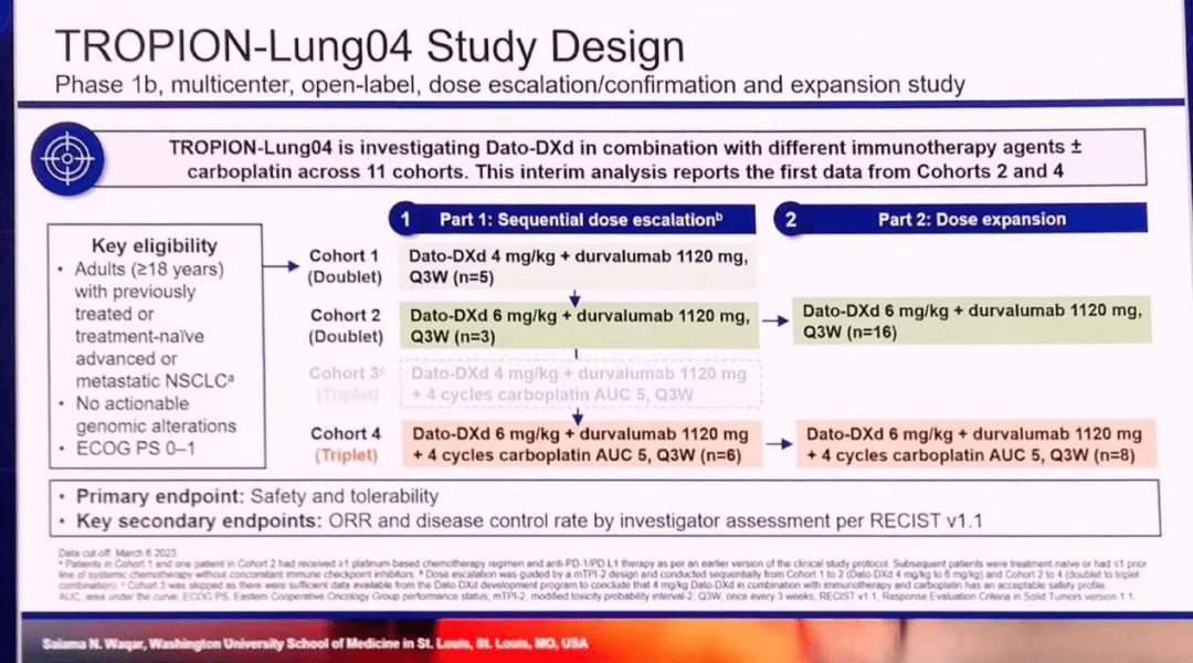 下一场海啸！2023 WCLC ADC专场最全速递_研究_队列_患者