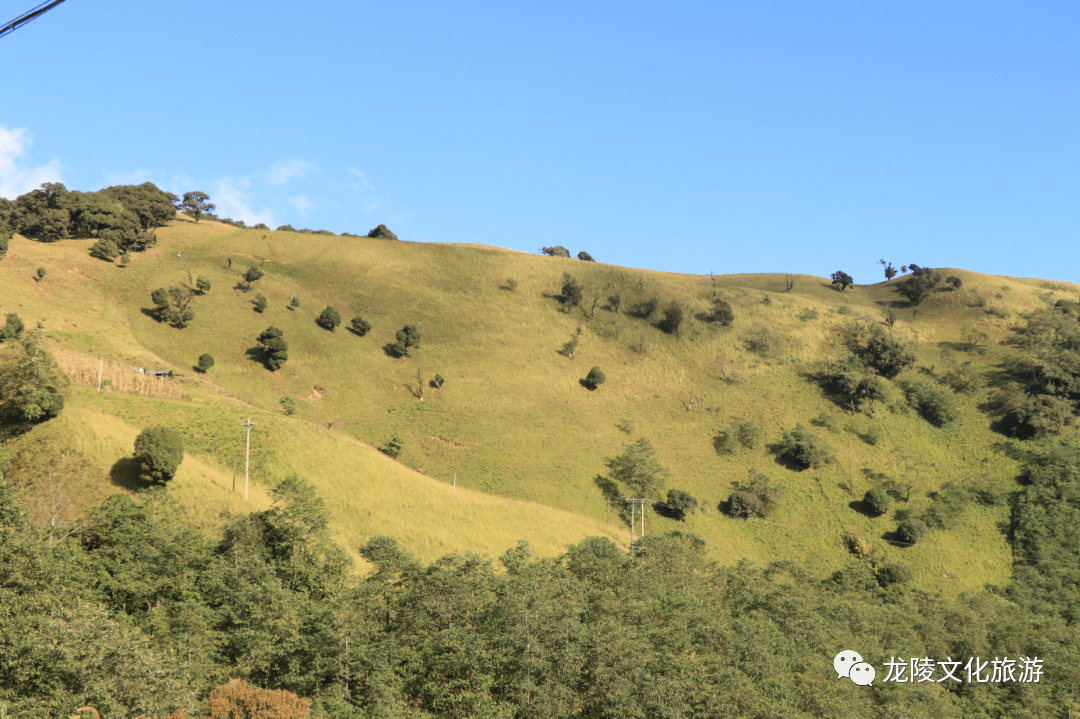 保山 木城有个很 哇塞”的草山乌木龙陵草原
