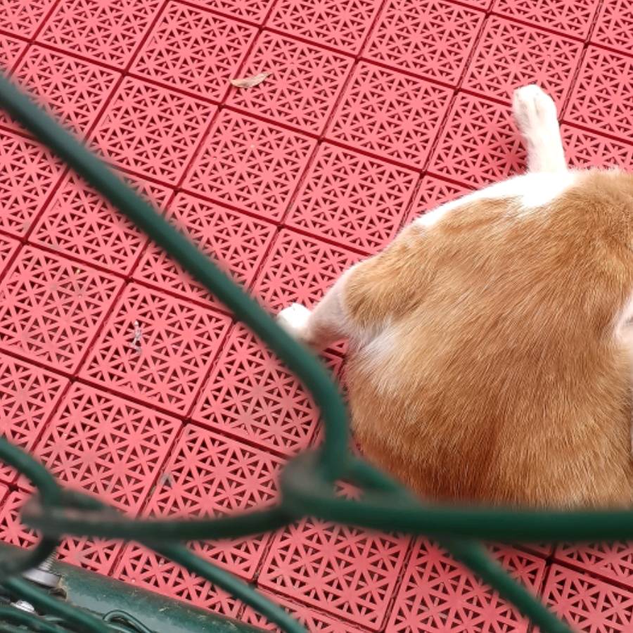 儿童保温杯怎么选？五大不能错过的优质品牌，揭秘哪个牌子的好_宫菱_高性能_热水