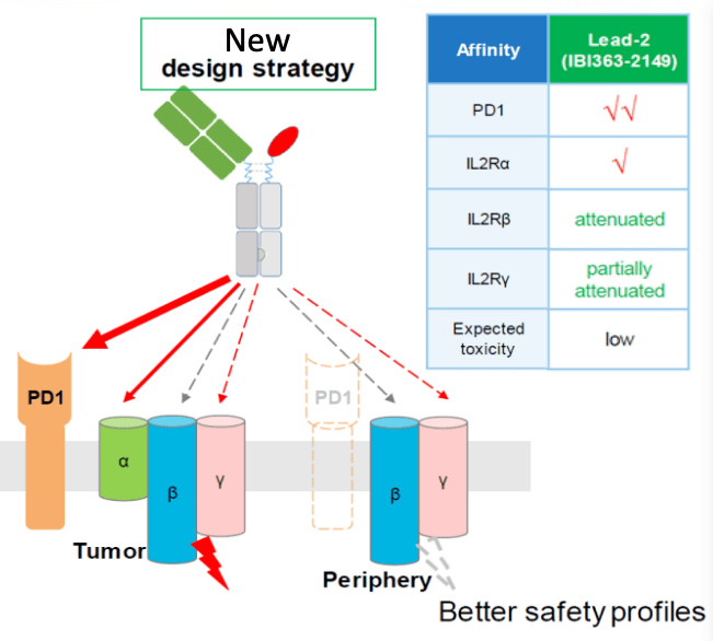 信达 PD-1/IL-2 双特异性抗体融合蛋白获批新临床_Insight_白细胞_-biased