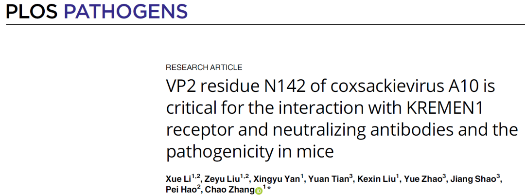 PLoS Pathog | 张超课题组在柯萨奇病毒A10与受体相互作用领域取得进展_研究_上海市_细胞