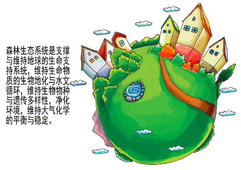 森林生态系统是如何涵养水源的？降雨，然后吸收~这么简单吗？服务功能地表