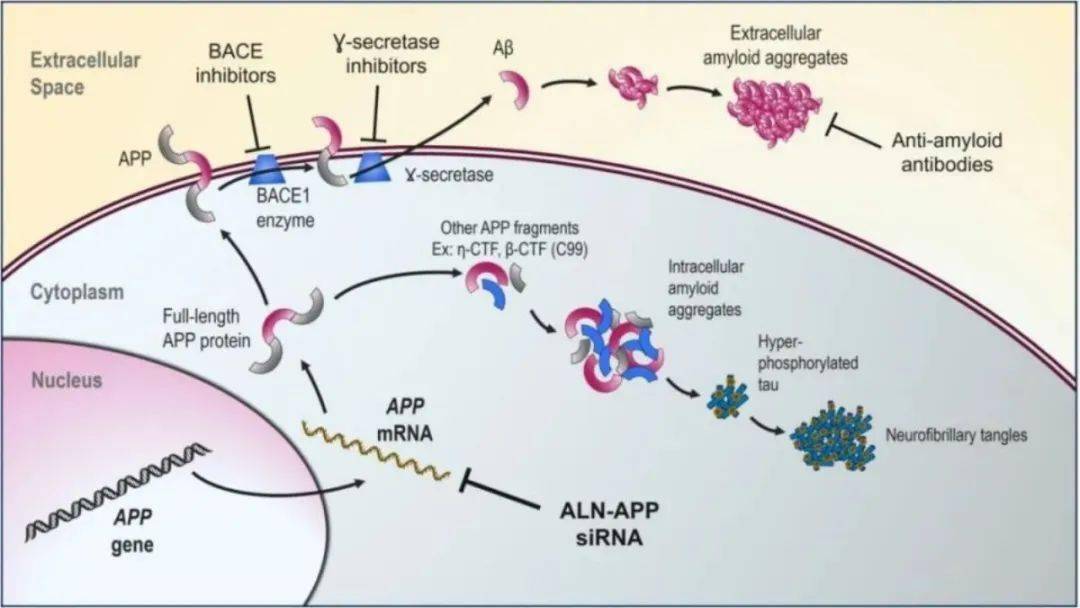 Alnylam: 引领RNAi二十年，目标成为TOP5 Biotech_GalNAc_siRNA_核酸
