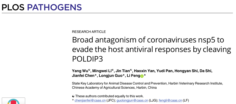 PLoS Pathog. | 冠状病毒 nsp5 通过切割 POLDIP3 广谱地拮抗宿主抗病毒应答_细胞_研究_蛋白