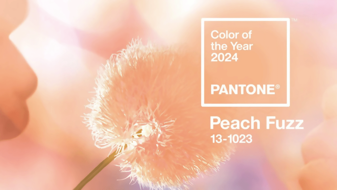 流行色 Pantone发布2024年度代表色：peach Fuzz（柔和桃） 是一种 设计 桃色