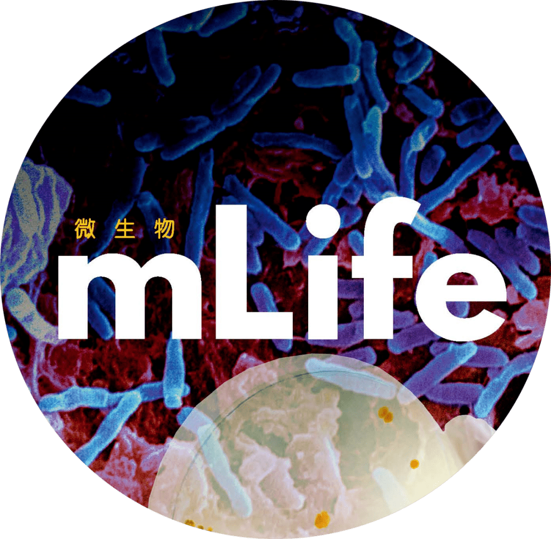 快讯 | 微生物所主办英文刊物mLife近期被ESCI数据库收录_期刊_领域_Issue