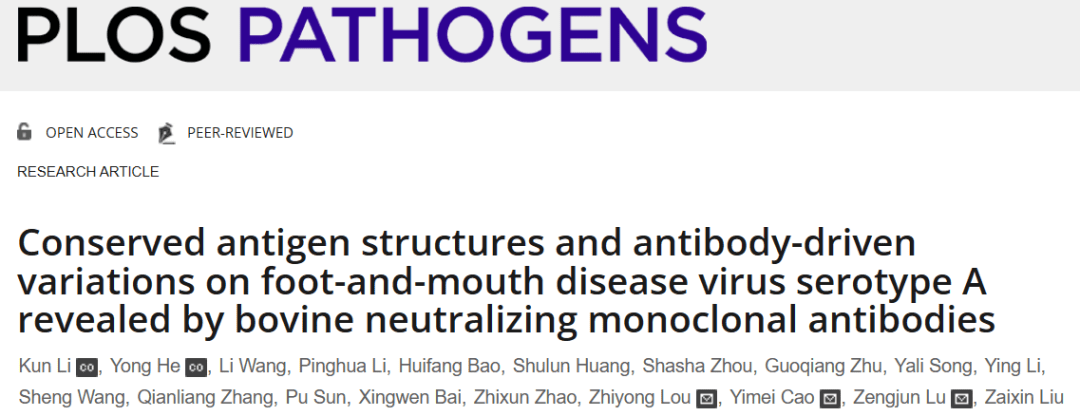 PLOS PATHOG|兰州兽医研究所科研人员成功解析A型口蹄疫病毒保守抗原结构与变异规律_抗体_分支_我国